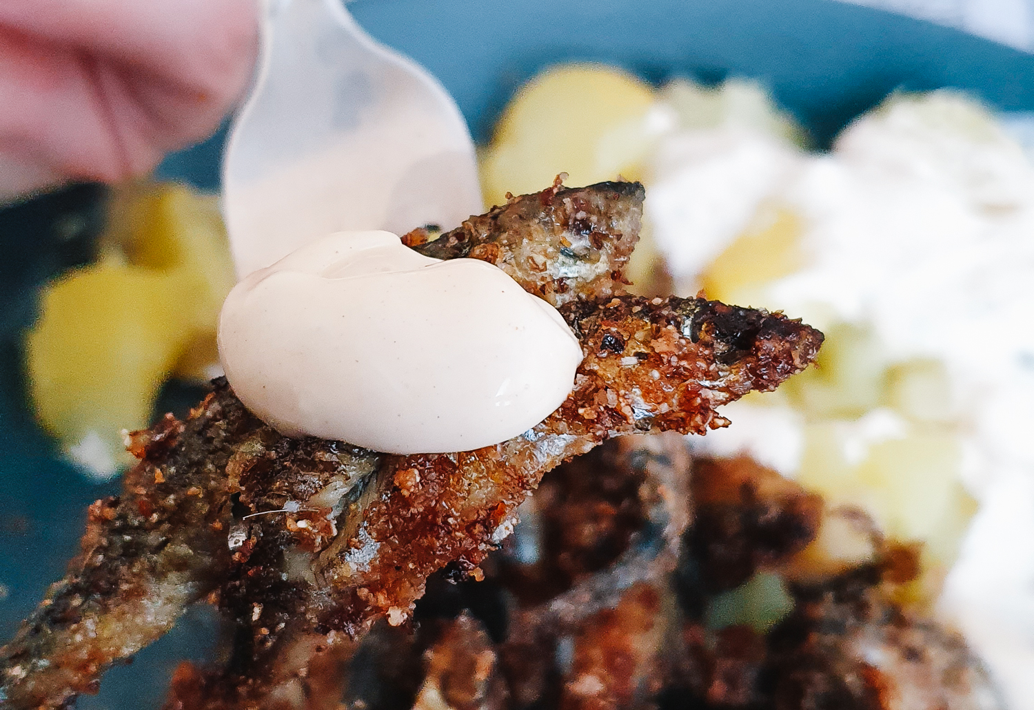 Muikku: Von kleine knusprigen Fischen und Schnappschüssen! » Finnweh ...